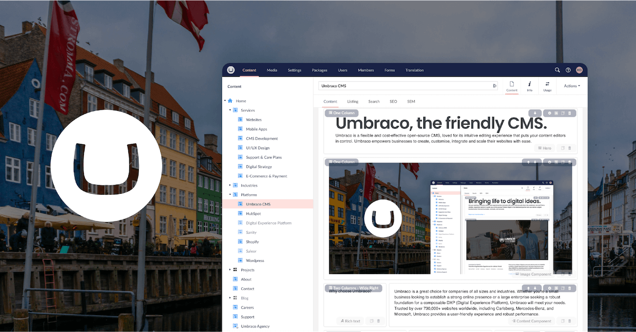Boost Your Website's Performance with an Umbraco Upgrade